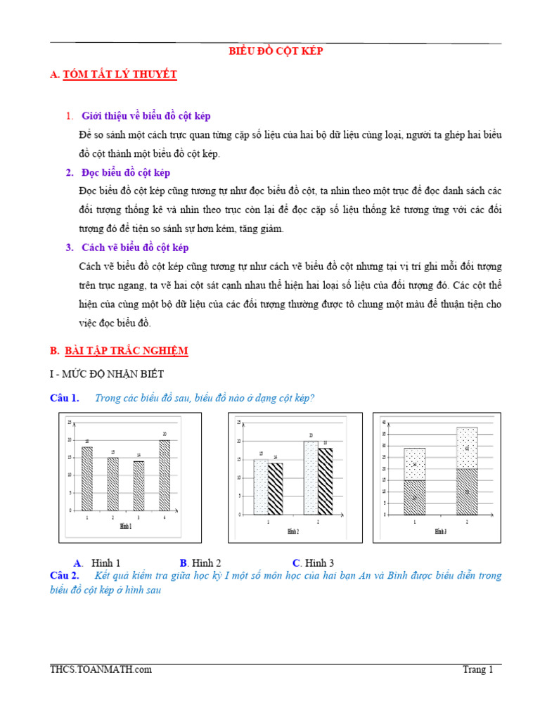 Tom Tat Ly Thuyet Va Bai Tap Trac Nghiem Bieu Do Cot Kep | PDF