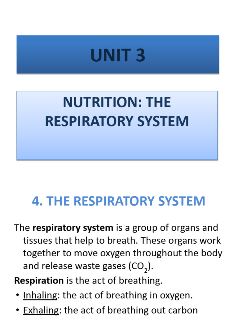 Unit 3 - Part2 | PDF