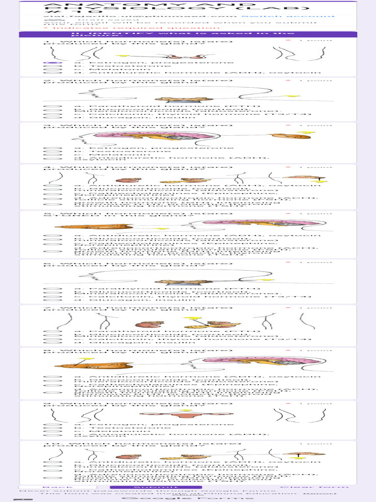 Anatomy and Physiology (Lab) # 10 | PDF | Luteinizing Hormone | Cortisol