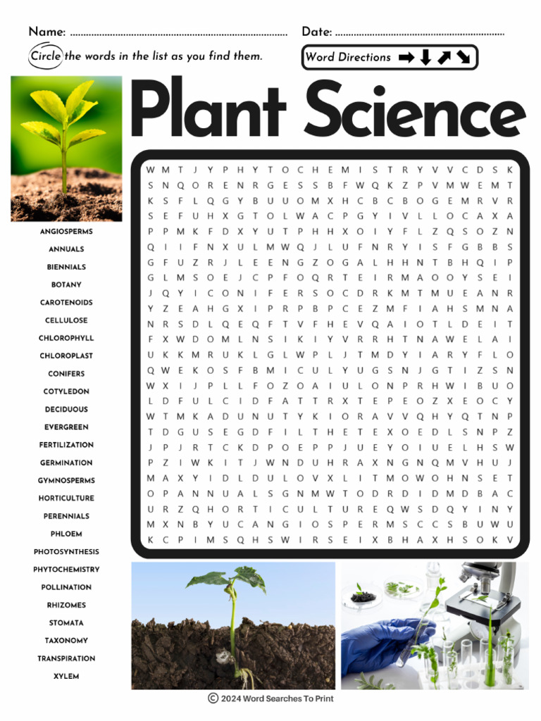 PlantScienceWordSearchPuzzle 1 | PDF