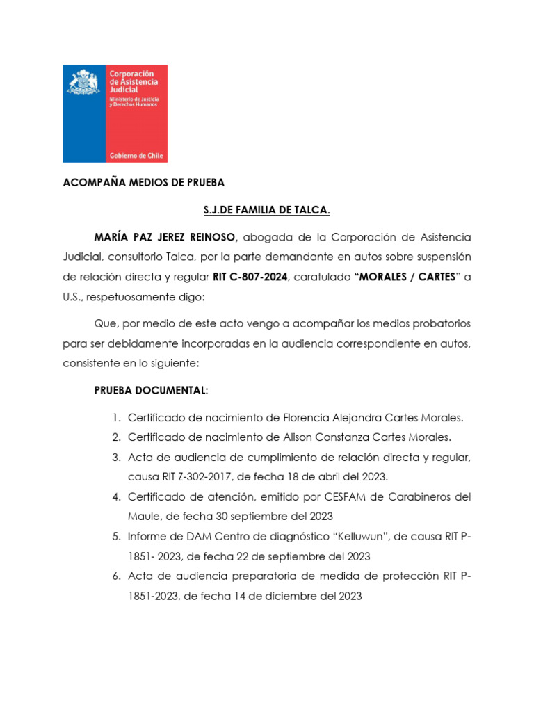 Acompaña Medios de Prueba | PDF