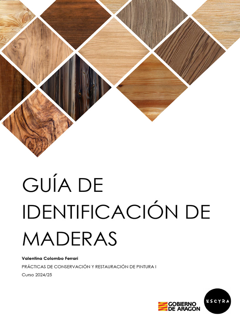 Guía de Identificación de Maderas | PDF | Madera | Arboles