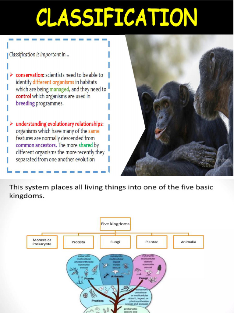 5 Kingdom Classification | PDF