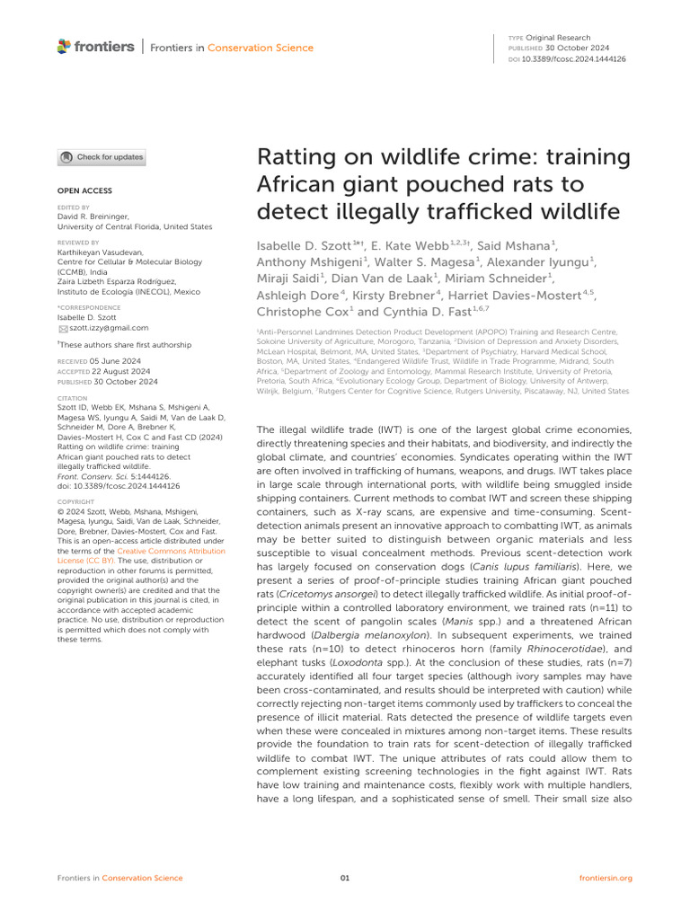 African rats exp GS | PDF