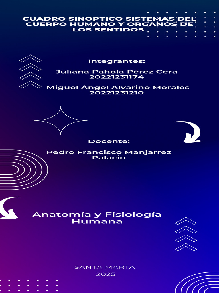 Sistemas del Cuerpo Humano y Sentidos | PDF | Sistema linfático | Gusto