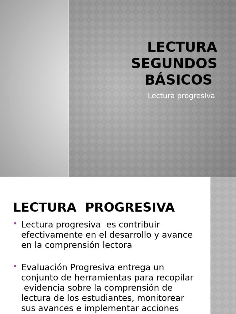 Lectura Segundos Básicos | PDF