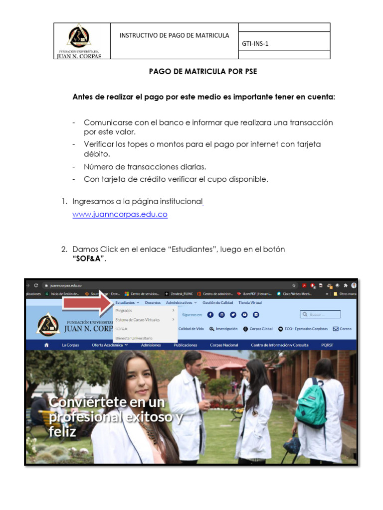 INSTRUCTIVO PAGO DE MATRICULAS PSE - Nuevo 1 | PDF