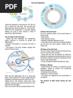 POGIL Activities For AP Biology - Cell Cycle and Regulation | PDF ...