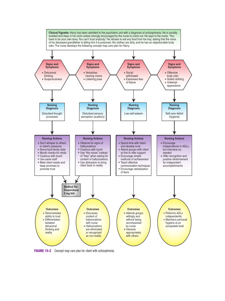 Schizophrenia Concept Map 2018 | PDF | Hallucination | Schizophrenia
