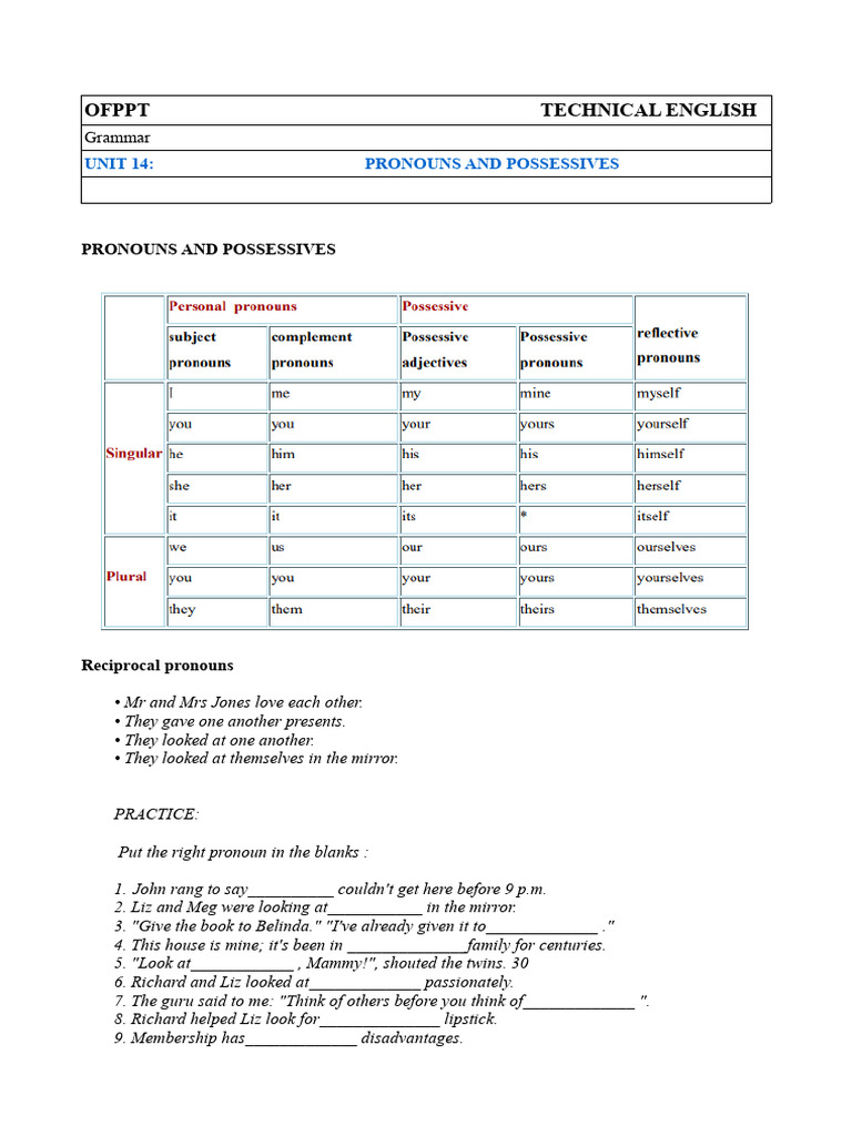 Unit 14 - Grammar - Pronouns and Possessives | PDF