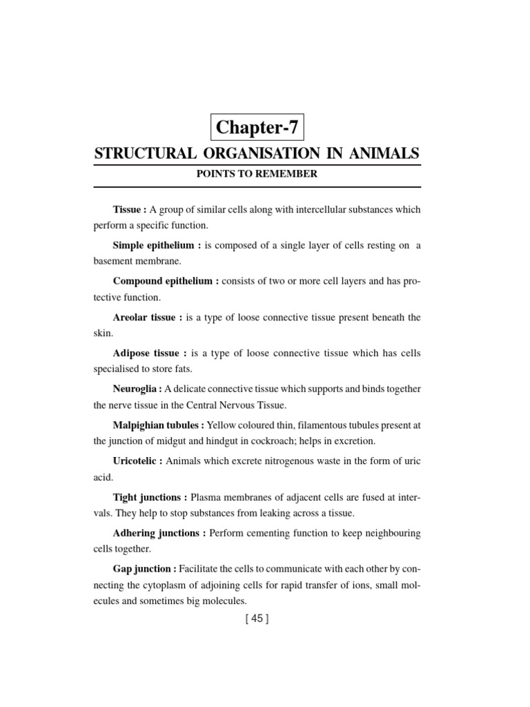 Class11 Biology Chapter 7. STRUCTURAL ORGANISATION IN ANIMALS | PDF | Epithelium | Tissue (Biology)