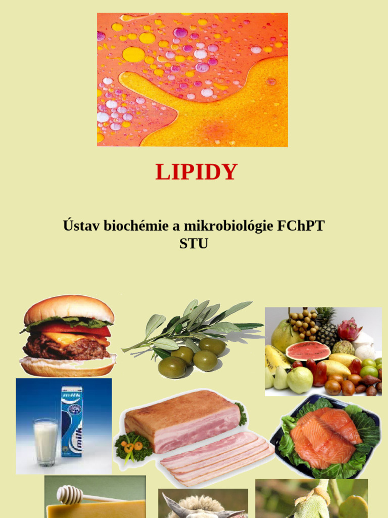 Lipidy | PDF