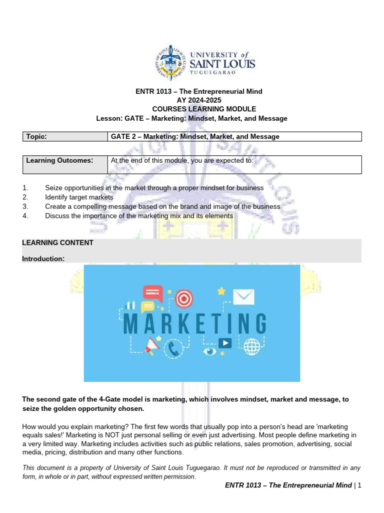 Marketing Mindset and Target Strategies | PDF | Marketing | Brand