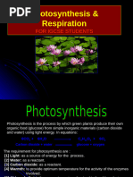 BTB Experiment: Photosynthesis & Respiration | PDF | Photosynthesis ...
