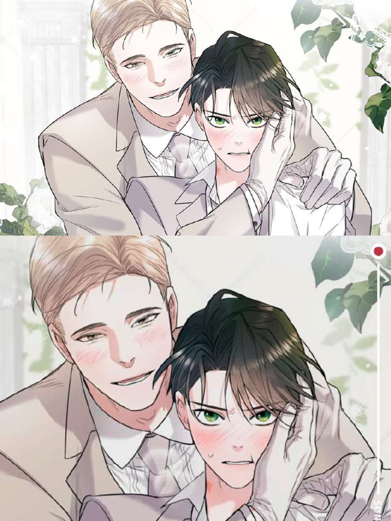 Completo Alfa No Reembolsable | PDF