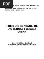 Classification FIGO Des Fibromes Utérins - Embolisation Fibrome Utérin ...