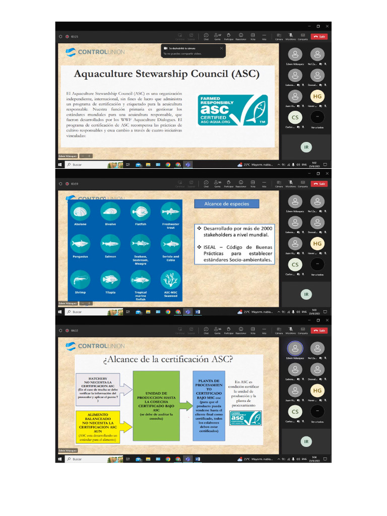 Indicaciones de Interpretación de La Norma ASC | PDF