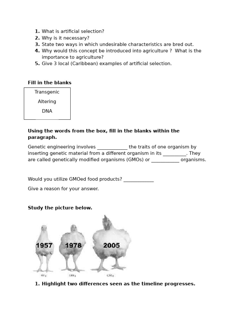 Artifical Selection and Genetic Engineering Worksheet | PDF
