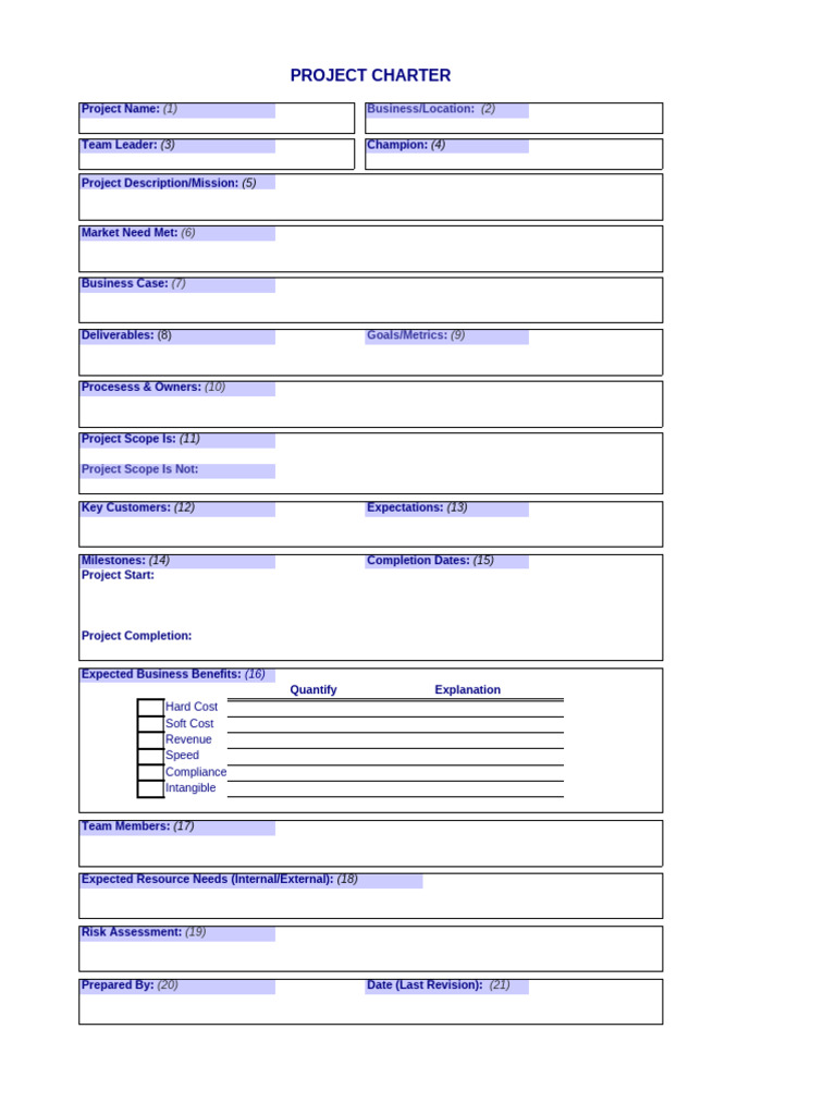 Project Charter DFX - Excel 2003, 2007 | PDF | Cost | Business