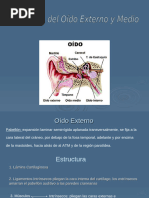 Celda Parotídea y Glandula Parotida RESUMEN | PDF ...