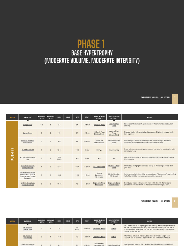x6 - Ultimate PPL - All Phases | PDF | Weight Training | Strength Training