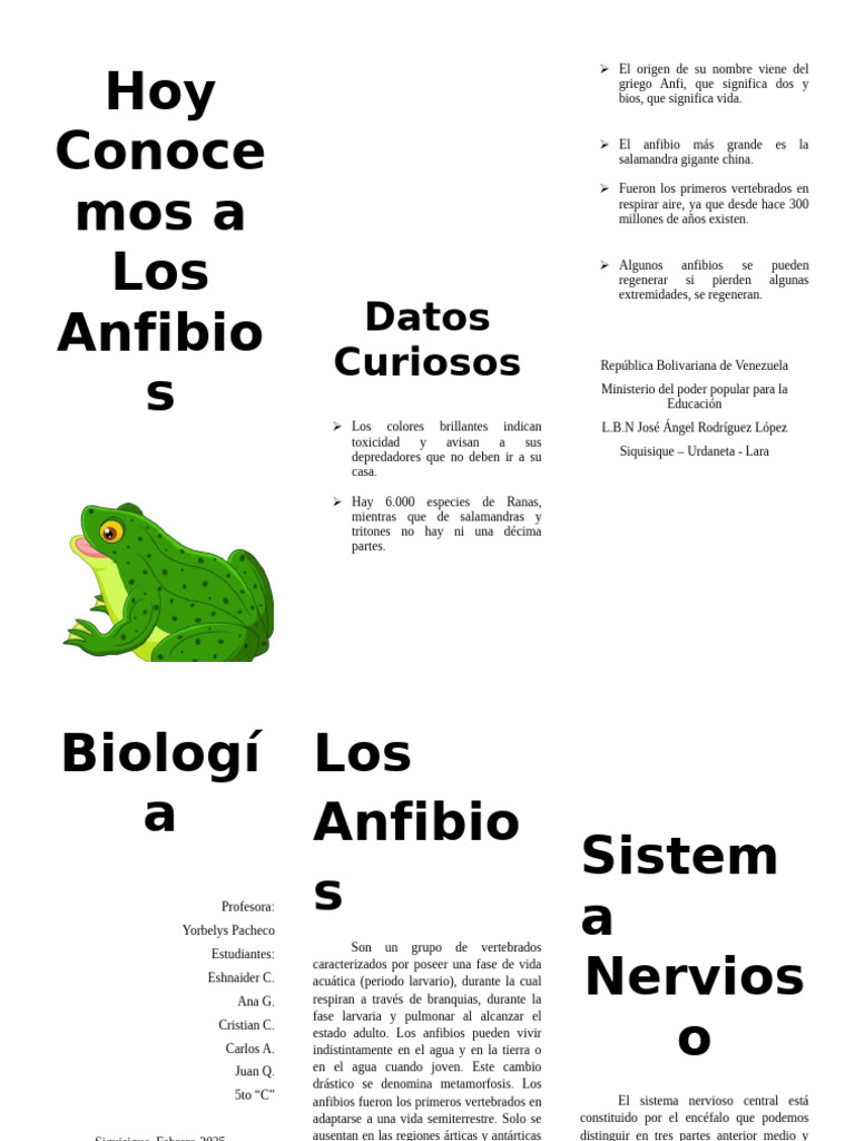 Triptico Anfibio | PDF | Anfibio | Vertebrados