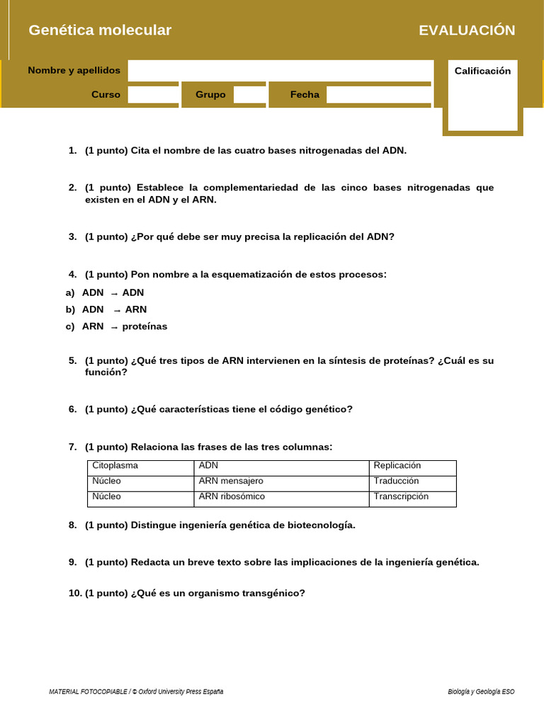 Gen Mol Eval Sol Prueba Evaluacion Niv 2 | PDF | Rna | Adn