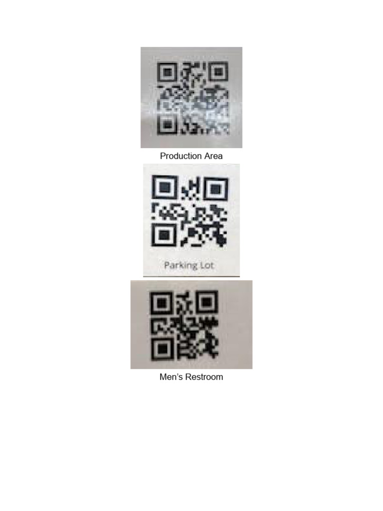 QR Codes | PDF