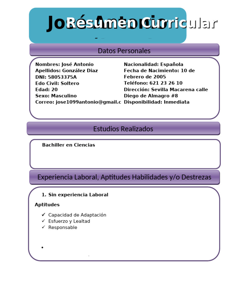 Curriculum Elias | PDF