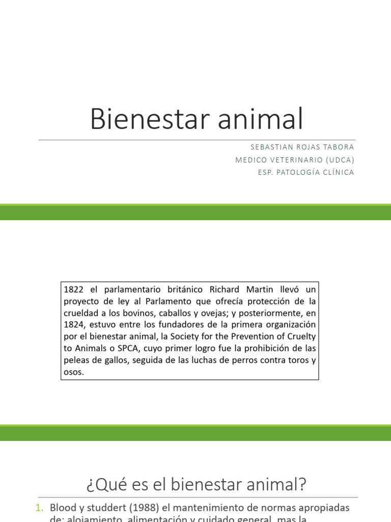 Bienestar Animal | PDF | Bienestar de los animales | Sufrimiento