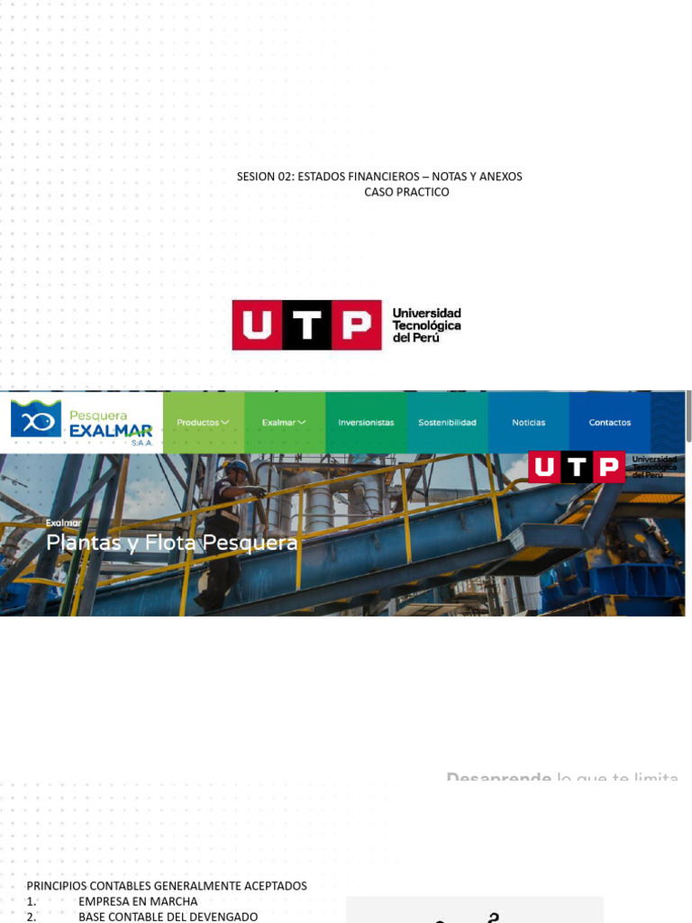 S01.s2 Estados Financieros Notas y Anexos - Caso Practico | PDF