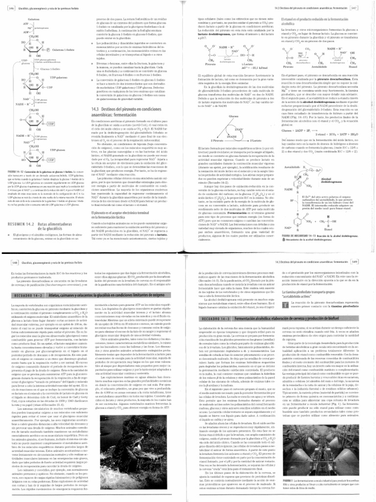 Ppios de Bioqca 5ed Lehninger-301-310 | PDF
