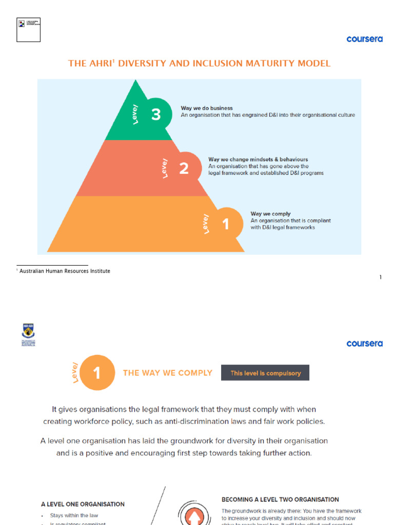 D&I Maturity Model Assessment Tool | PDF | Leadership | Business
