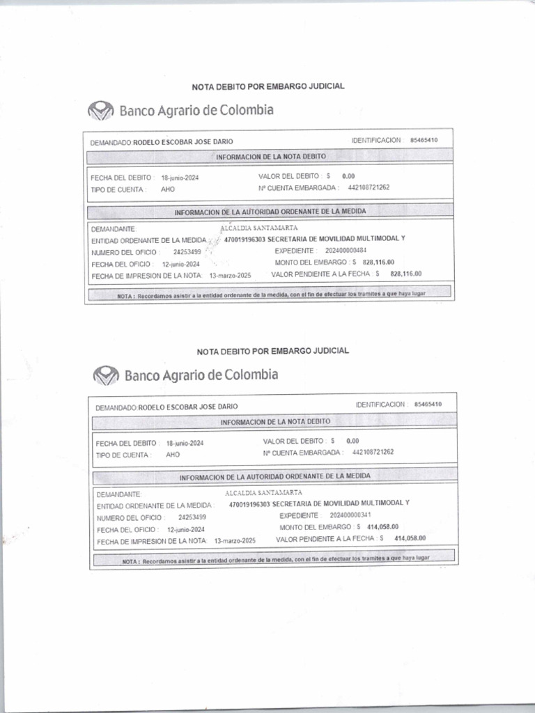 Cuenta Embargada | PDF