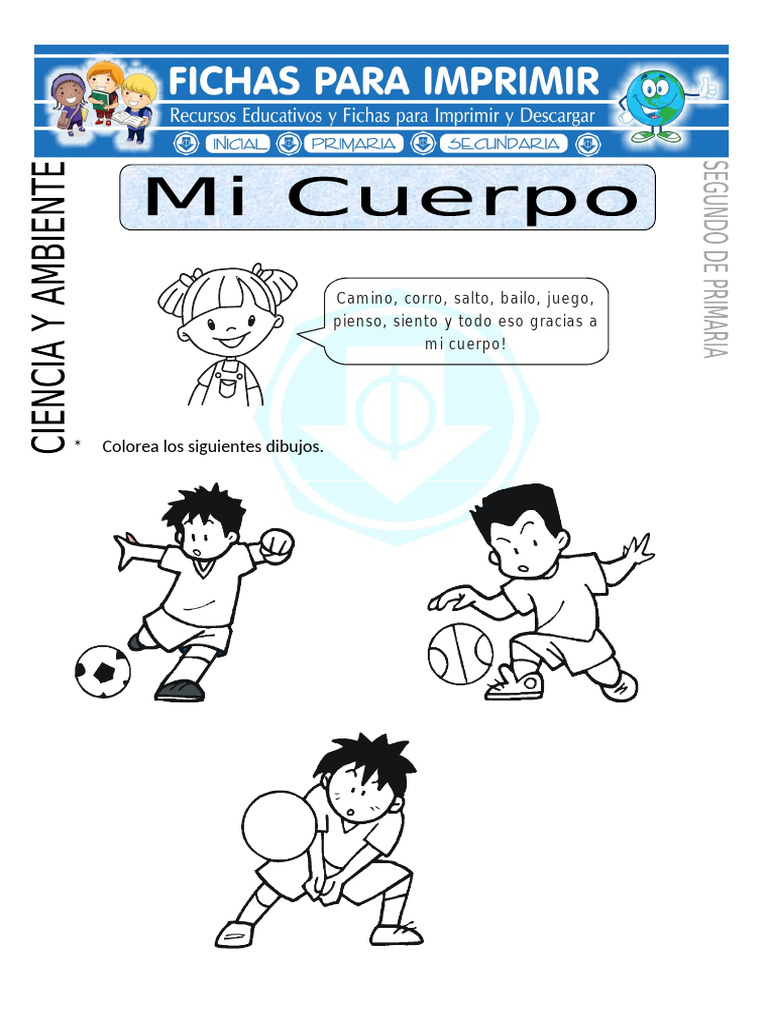 Conociendo el Cuerpo Humano Infantil | PDF