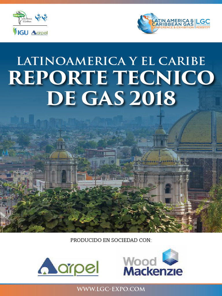 Arpel Wood Mac Gas Report SP | PDF | Gas natural licuado | America latina