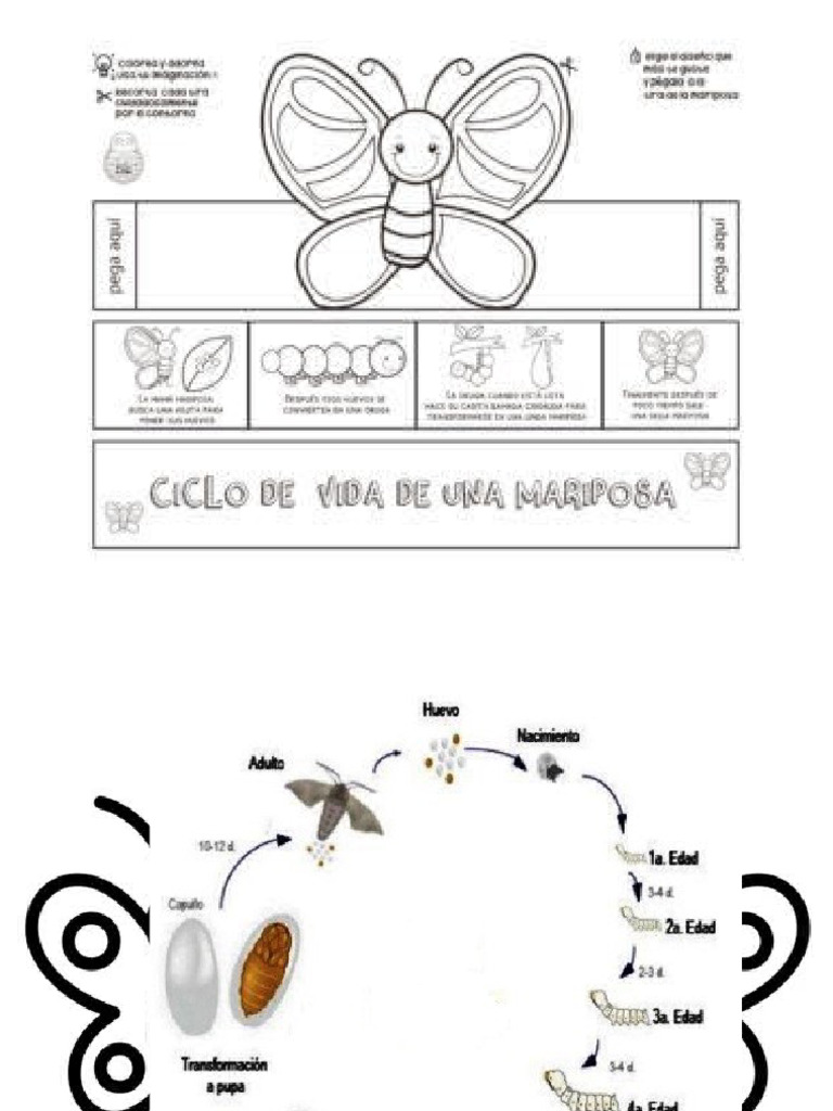 Ciclo de La Mariposa | PDF