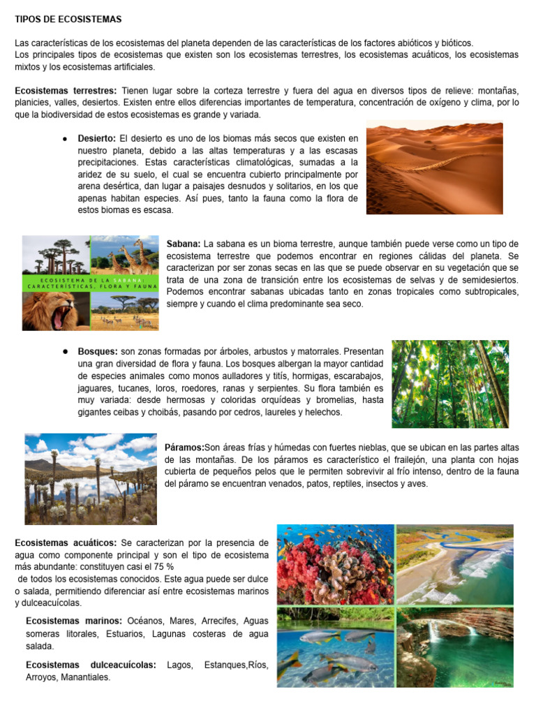 Tipos de Ecosistemas | PDF | Ecosistema | Humedal