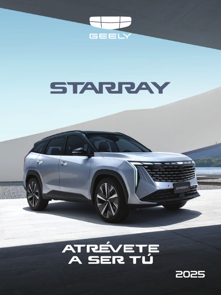 Ficha Starray 215x28 Geely-2025 B | PDF | Tecnología de vehículos | Vehículo de motor