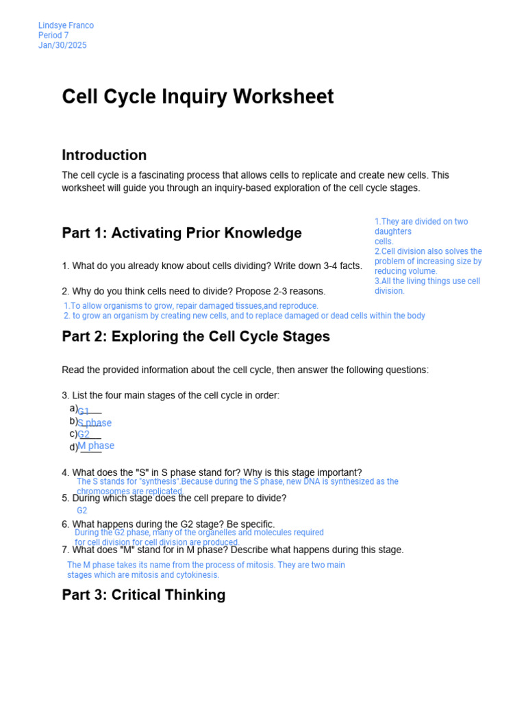Cell Cycle Inquiry Worksheet Guide | PDF | Mitosis | Cell Cycle