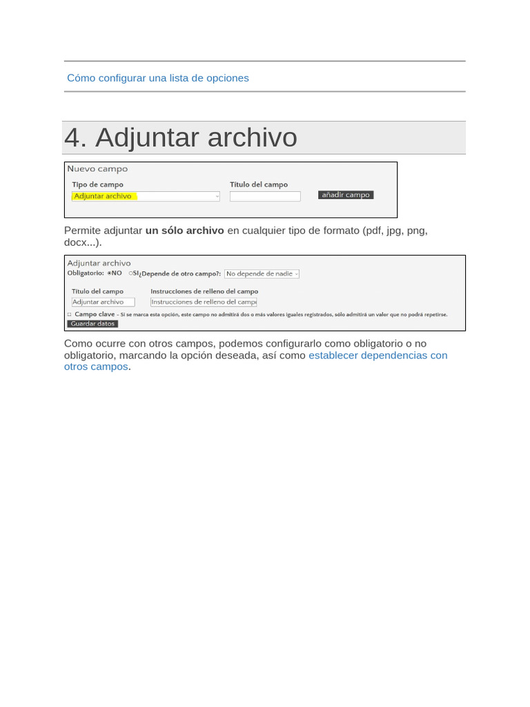 Archivos Adjuntos | PDF