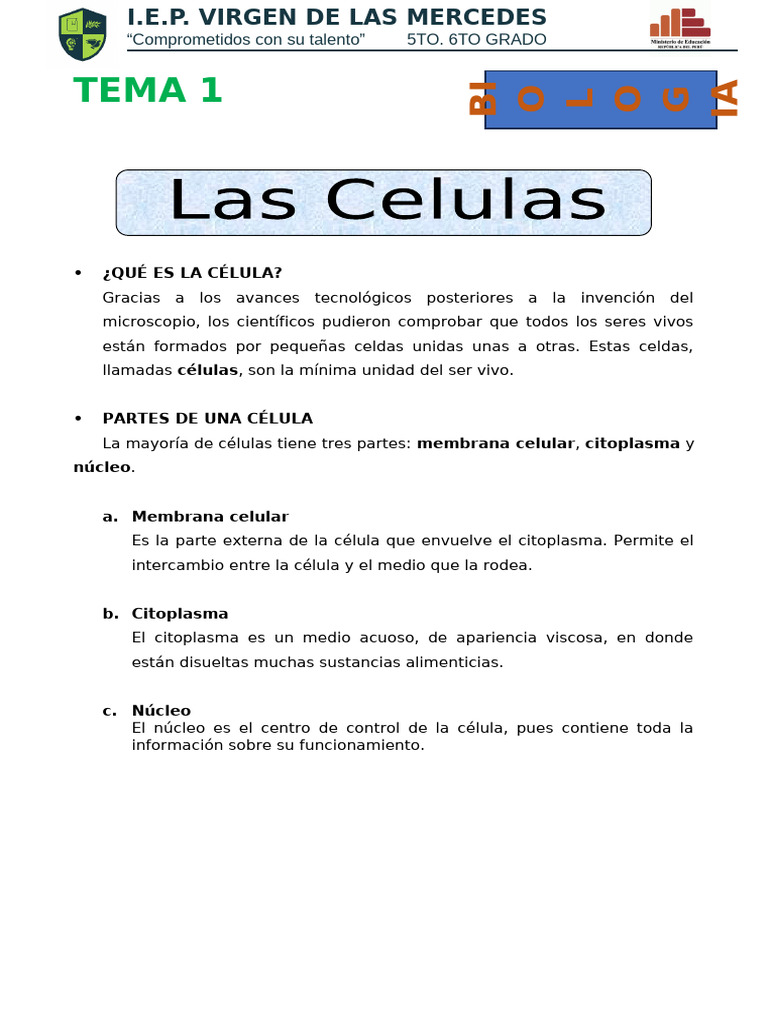 Ficha Las Celulas para Quinto de Primaria | PDF