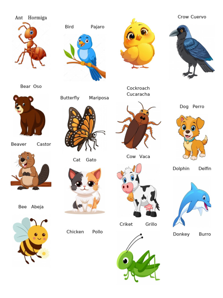 45 Animales Pequeños | PDF