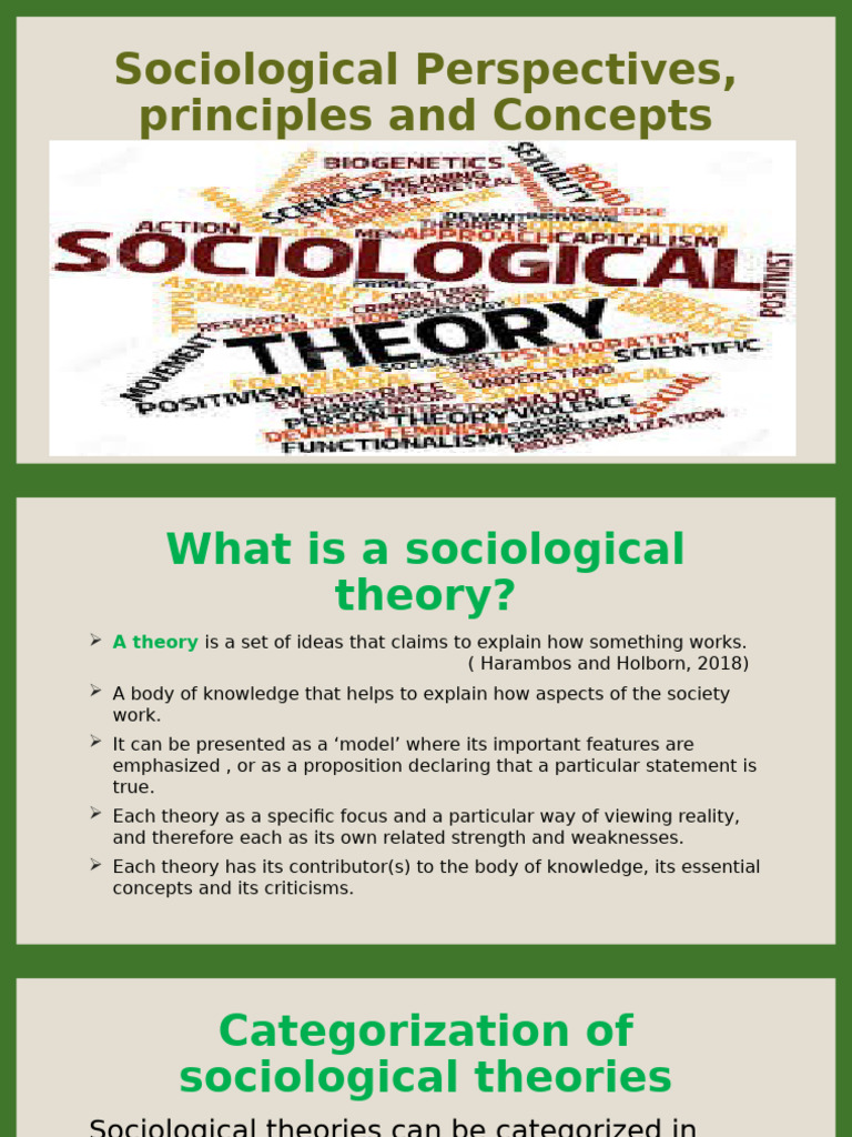 Functionalism (Edited) | PDF | Sociology | Marxism