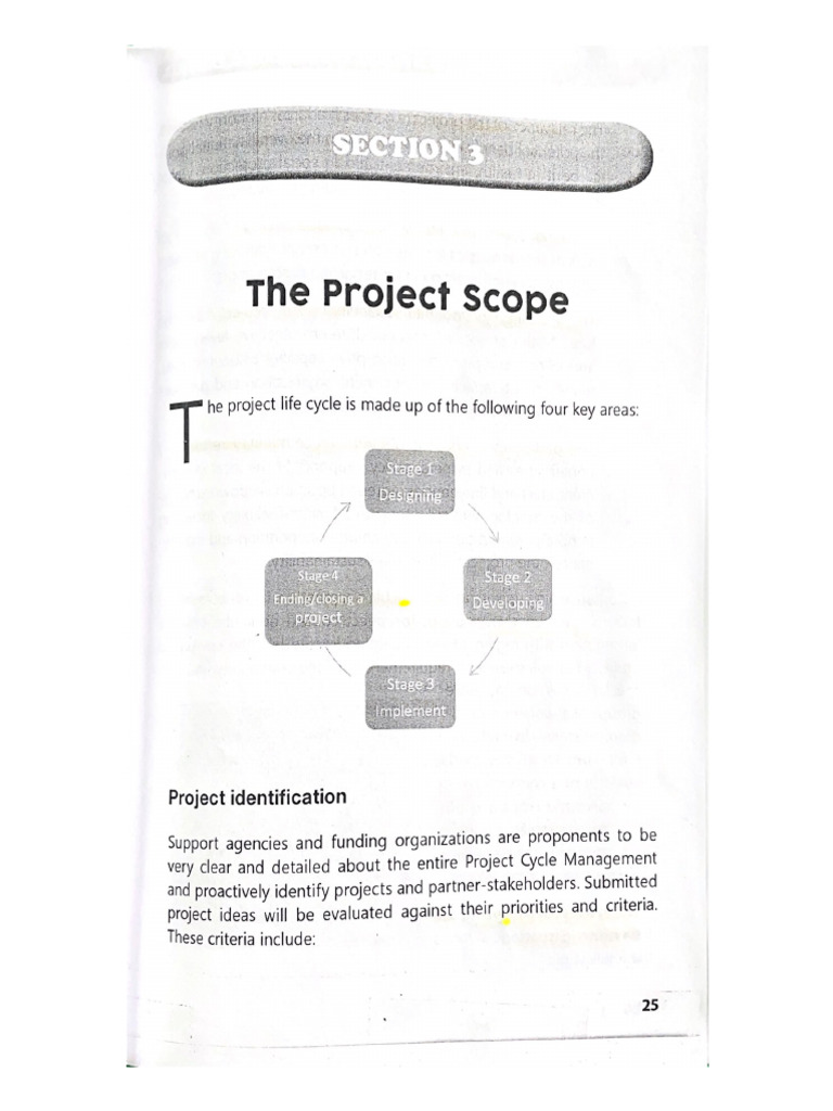 The Project Scope | PDF