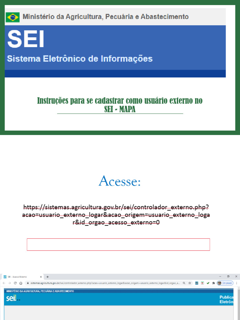 Cadastro de Usuário Externo no SEI | PDF
