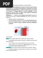 Apostila Precórdio | PDF | Ventrículo (coração) | Átrio (coração)