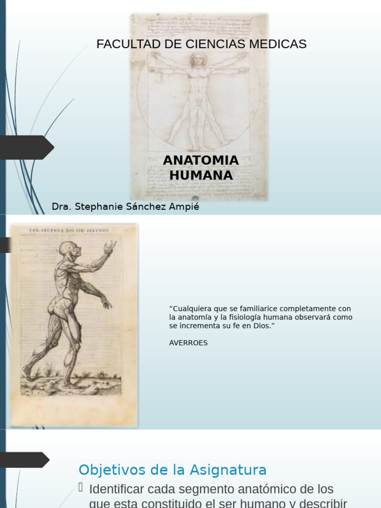 Class 1 y 2 Anatomia | PDF | Fuerza | Contracción muscular