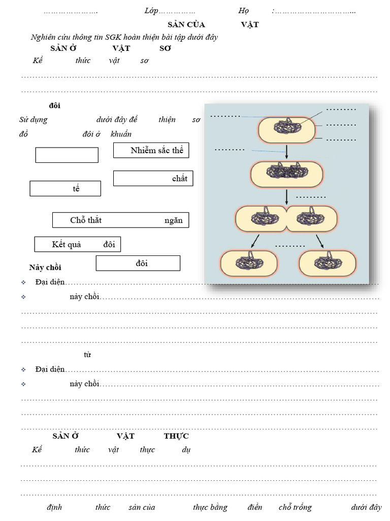 PHT Sinh S N C A VSV | PDF