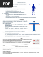 Contextura Corporal | PDF